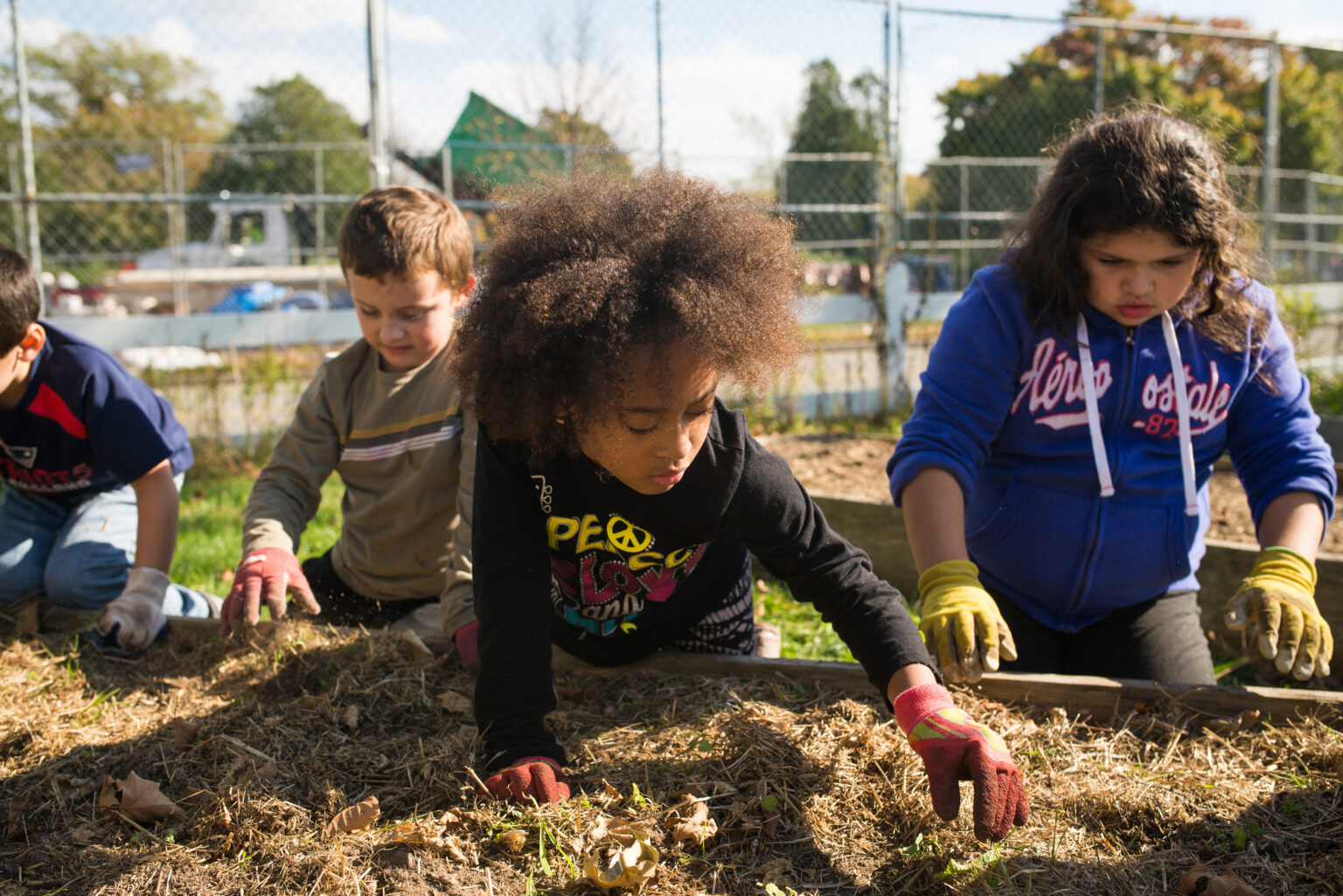 Massachusetts Food System Collaborative | Supporting collective action ...